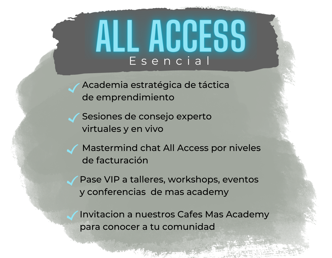 Central de afiliados ei – mas academy